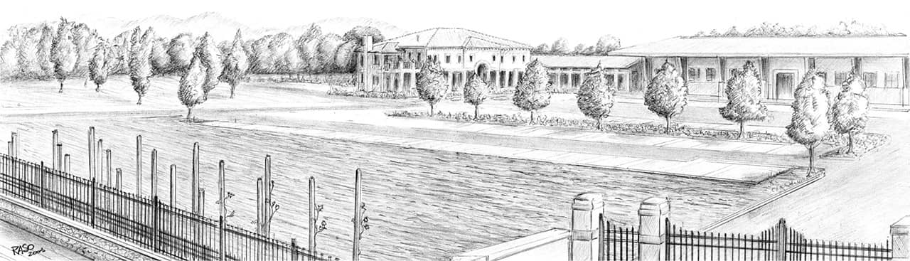 VITIS Rauscedo - Production of Grafted Vines