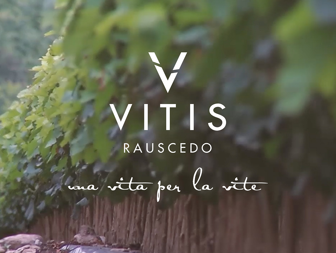 VITIS Rauscedo - Production of Grafted Vines