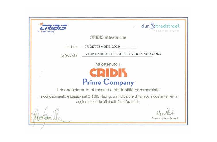 VITIS Rauscedo - Production of Grafted Vines