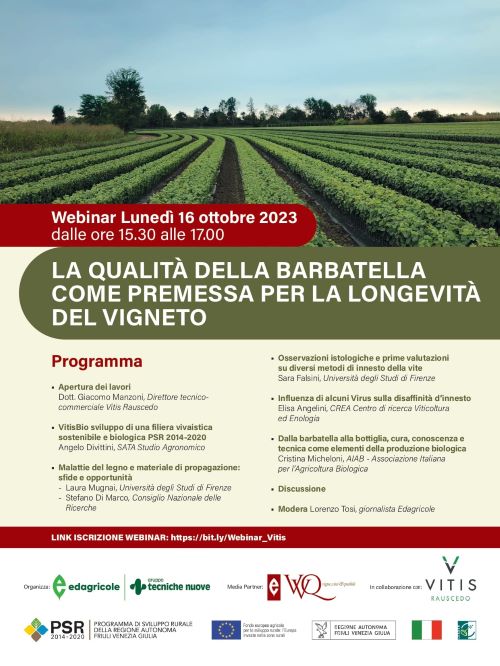 VITIS Rauscedo - Production of Grafted Vines